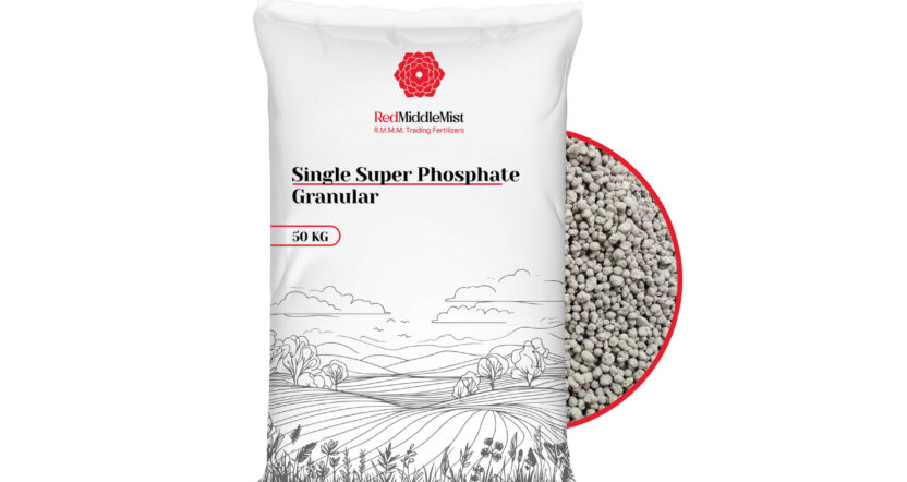 Single Super Phosphate granular (SSP) Phosphorus Fertilizer