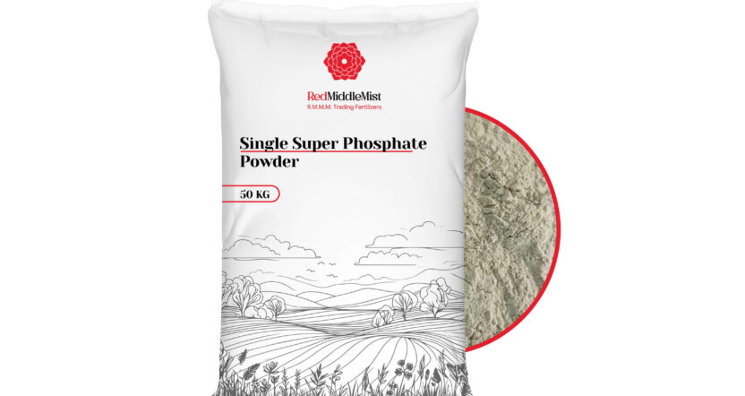 Single Super Phosphate (SSP) Fine Powder Fertilizer